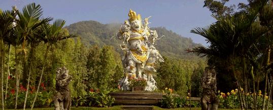 Outbound di Bedugul Kebun Raya Bedugul Bali