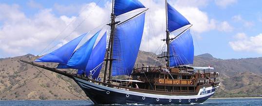 Wisata Adventure Bali Sea Safari Cruise